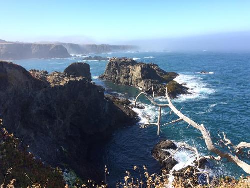 Book The Heritage House Resort, Little River, California - Hotels.com