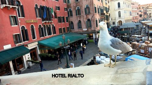 Book Hotel Rialto, Venice from $76/night - Hotels.com