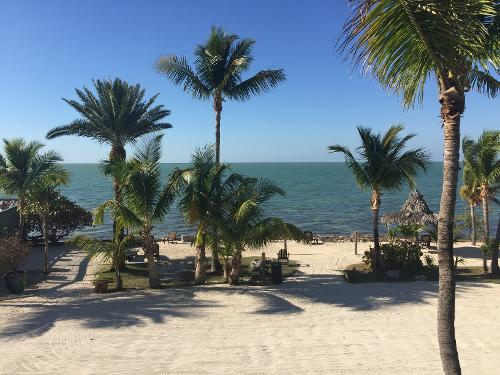 Book Lime Tree Bay Resort, Long Key from $179/night - Hotels.com