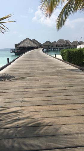 Book Adaaran Prestige Vadoo, Vadoo Island, Maldives - Hotels.com