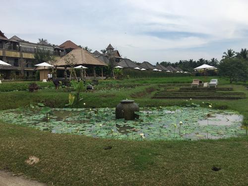 Book The Ubud Village Resort & Spa, Ubud, Indonesia - Hotels.com