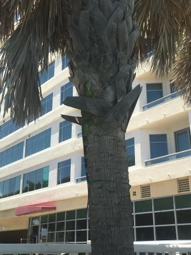 Book Residence Inn Fort Lauderdale Pompano Beach / Oceanfront, Pompano ...