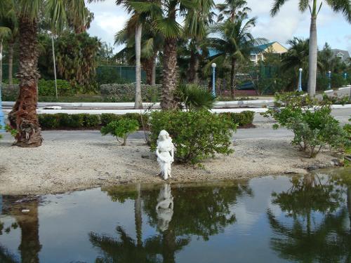 Book Sandyport Beach Resort, Nassau, Bahamas - Hotels.com