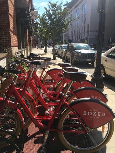 Book The Boxer, Boston, Massachusetts - Hotels.com